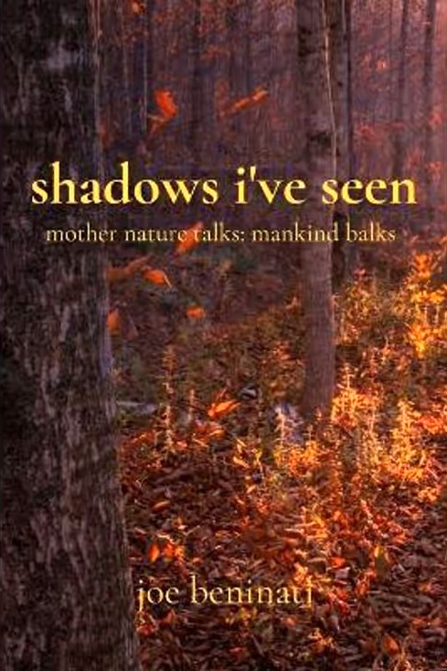 Shadows I’ve seen – Ernest Blair Experiment